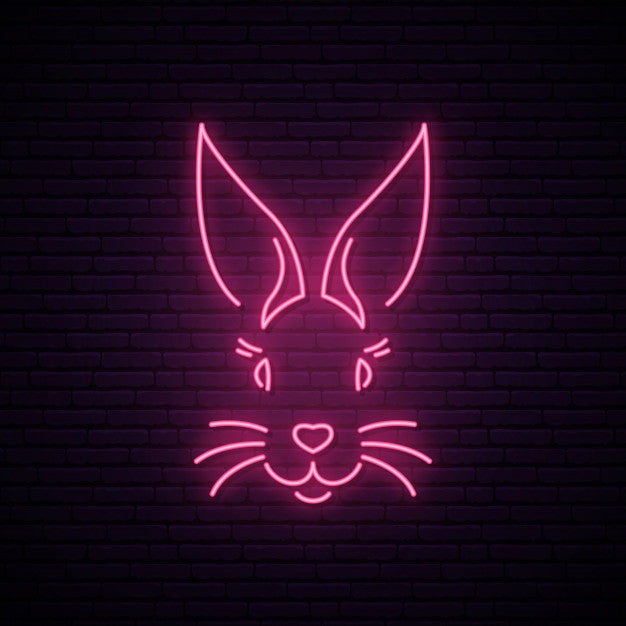 Rabbit Neon Sign — make neon sign