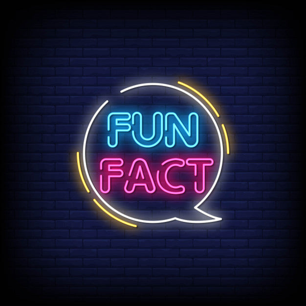 Fun Fact Neon Sign - Neon Pink Aesthetic — make neon sign
